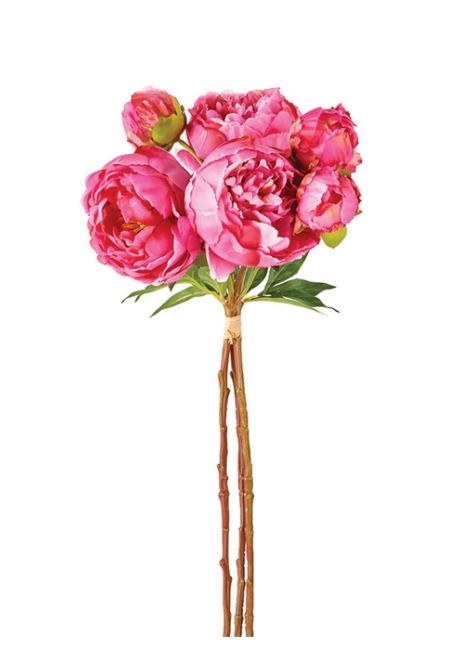 Peonies Bundle – Shaq + Coco